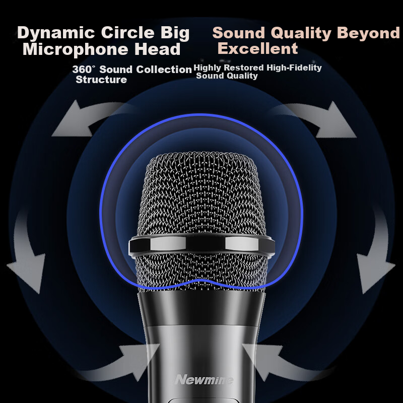 Newmine MC107 Wireless Microphone Home KTV Singing Hosting Speech Karaoke Conference Speaker Sound Amplifier FM Universal Microphone Double Mic