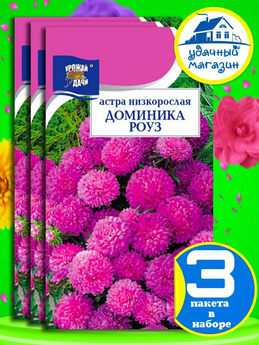 Семена астры низкорослой