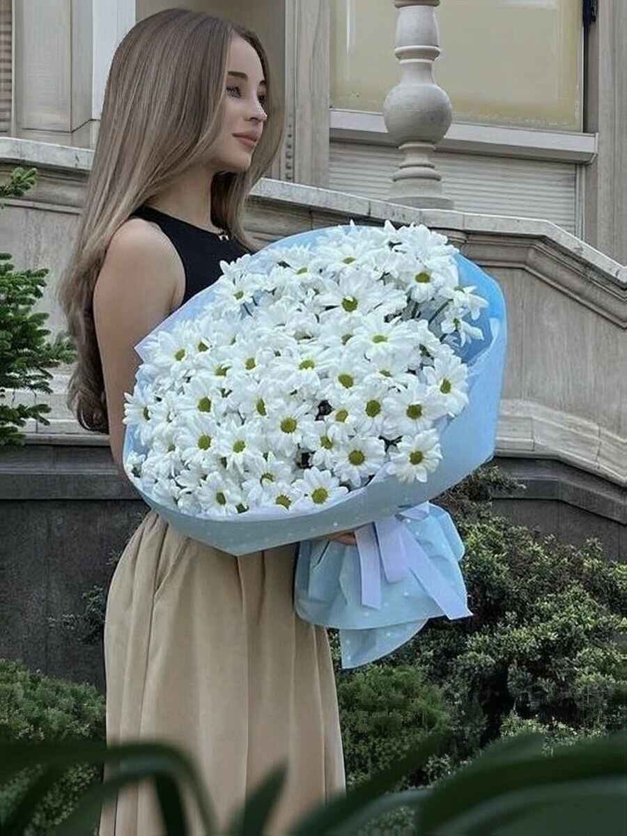 Хризантемы