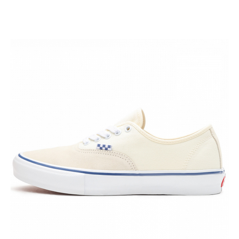 Кроссовки Skate Authentic