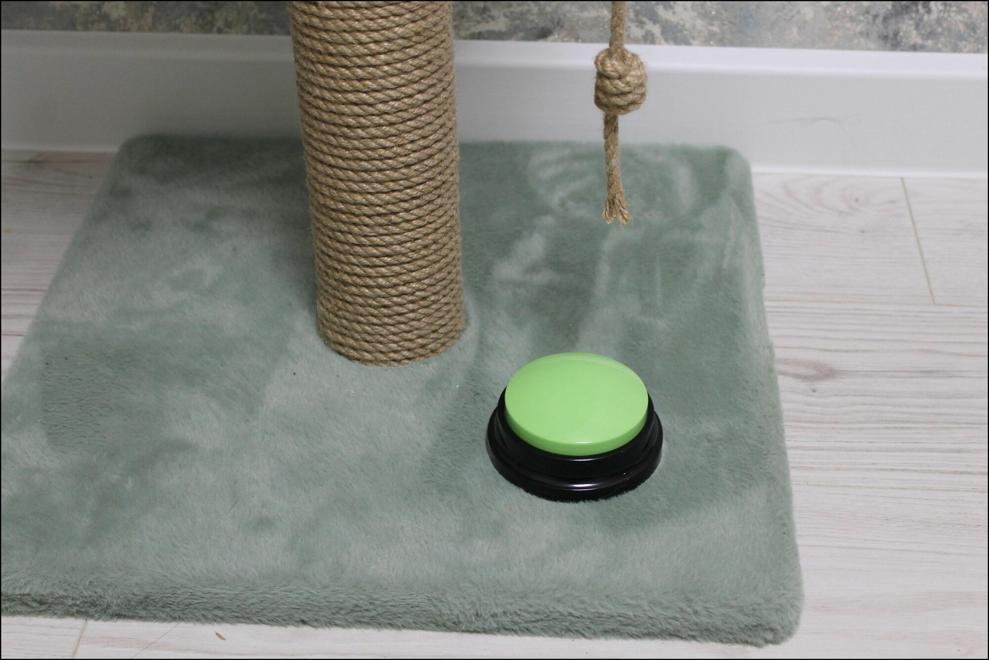 Кнопка для собак жрать хочу, 4 шт комплект, кушать хочу, для дрессировки животных с записью голоса, звуковая кнопка, кликер для собак , оранжевая