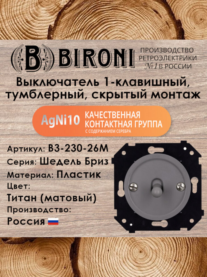 Выключатель 1-клавишный BIRONI Шедель Бриз, Титан (матовый), тумблерный, скрытый монтаж