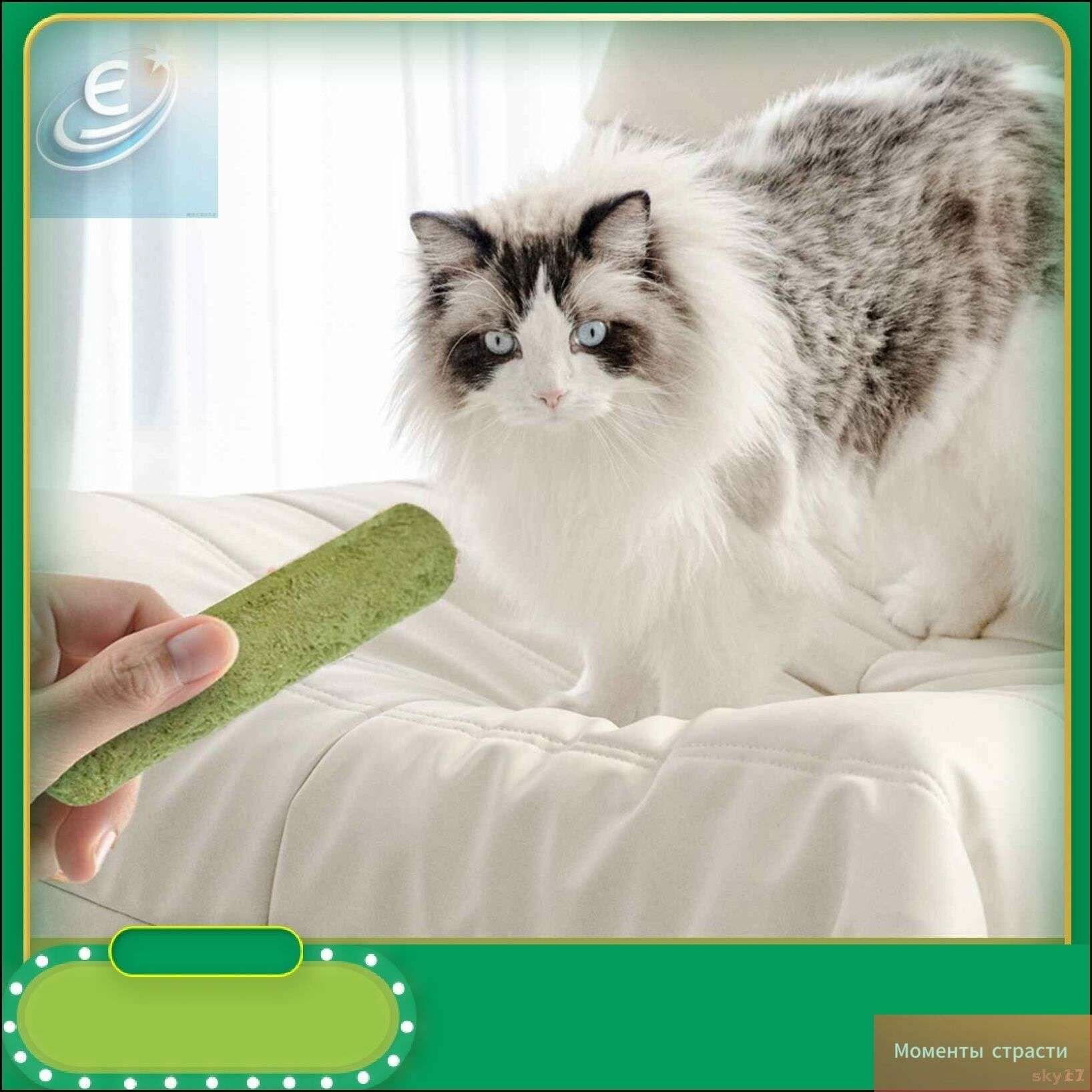 Эксклюзивные аксессуары для домашних животных