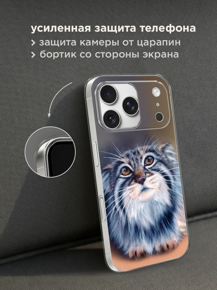Чехол на Apple iPhone 17 Pro Max / Айфон 17 Про Макс с принтом "Кот манул 2" — фото 1
