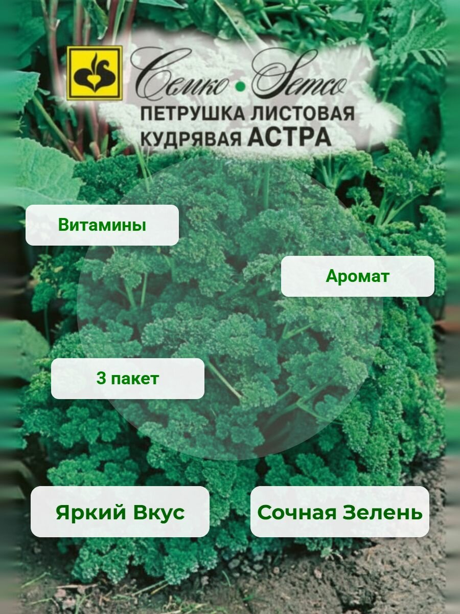 Семена Петрушка Астра Семко 3 пакета