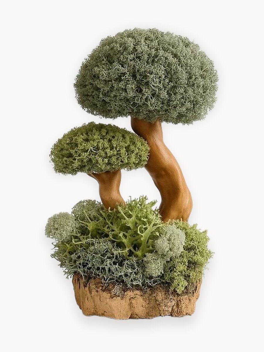 Статуэтка сувенирное дерево Цетрария