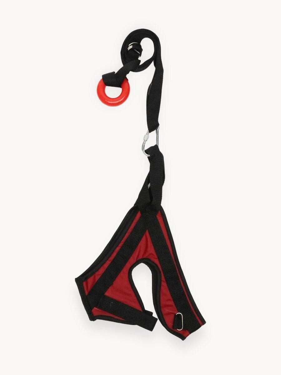 Петля Глиссона с креплением на дверь и турник