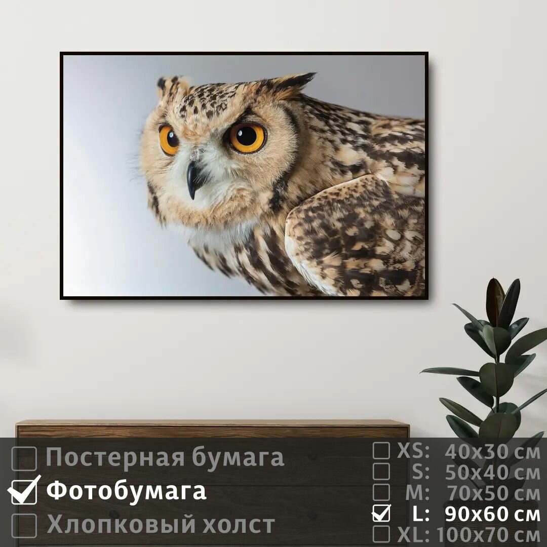 Постер на фотобумаге Сова Следит Глазами 90х60 см ПолиЦентр