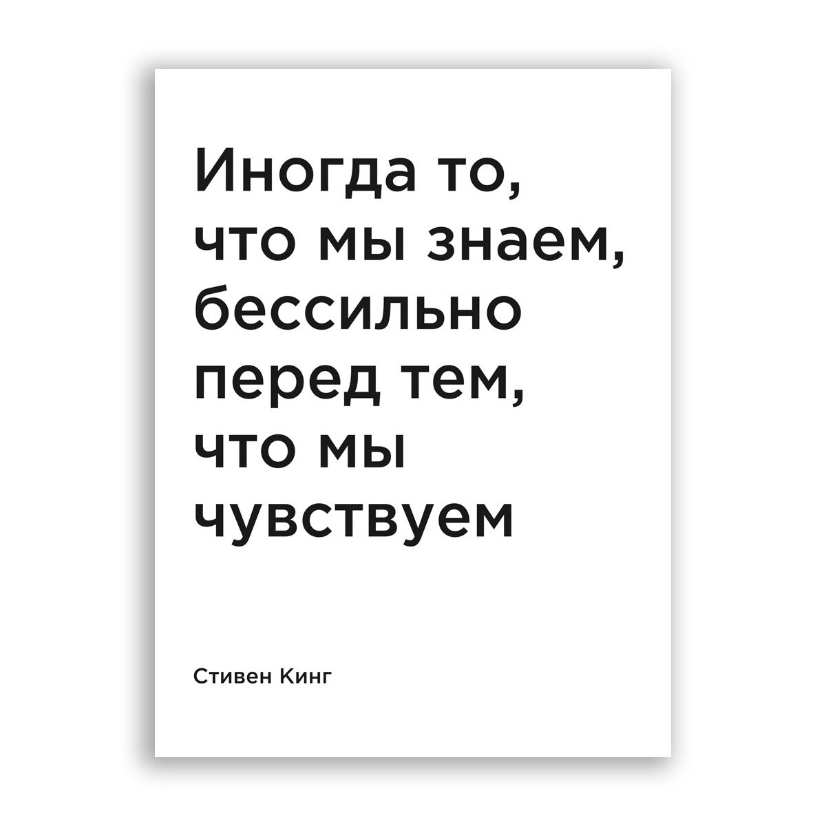 Постер, плакат на бумаге / Стивен Кинг: Иногда то, что мы знаем, бессильно / Размер 40 x 53 см