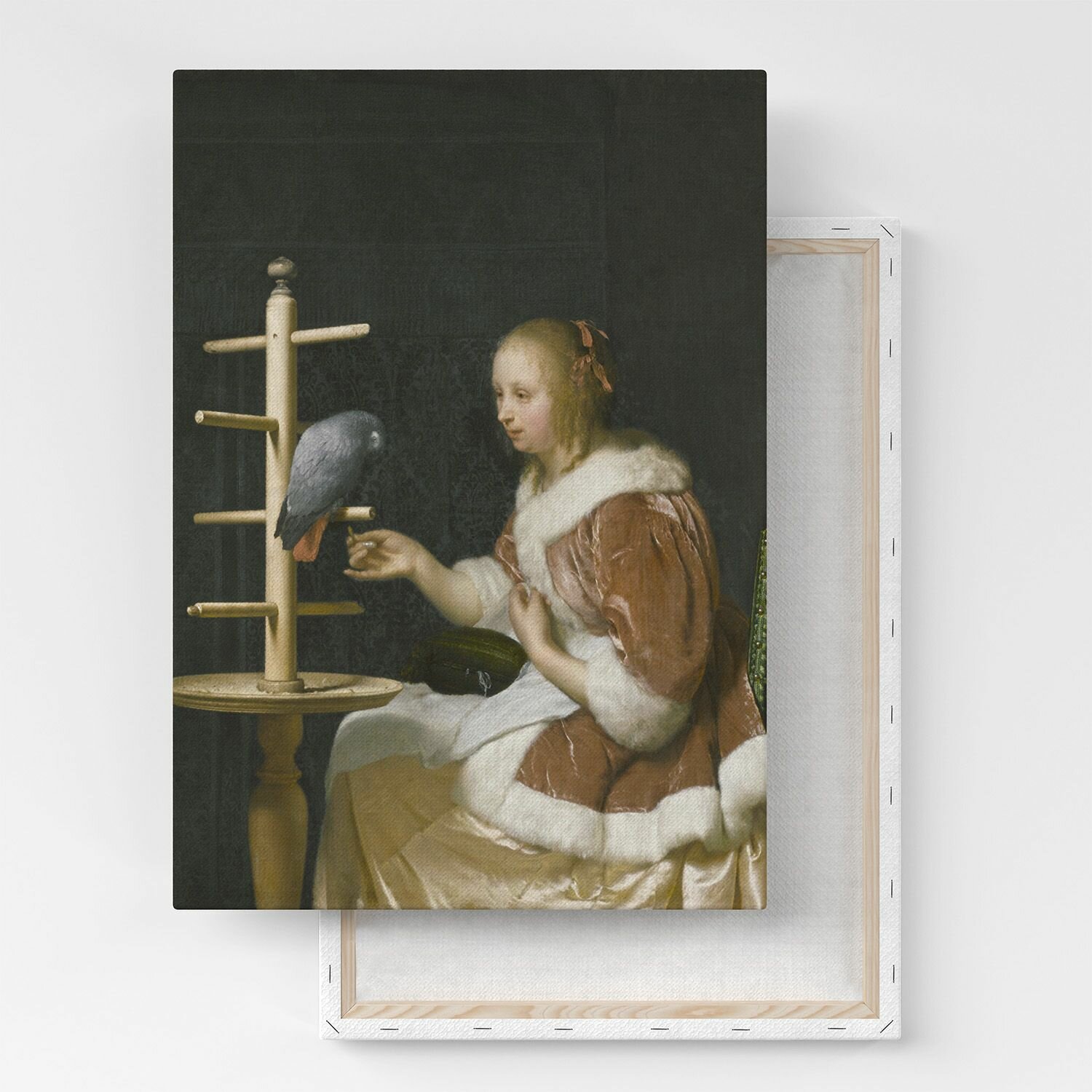 Картина на холсте, репродукция / Ван Мирис, Франс - Young Woman Feeding a Parrot / Размер 60 x 80 см