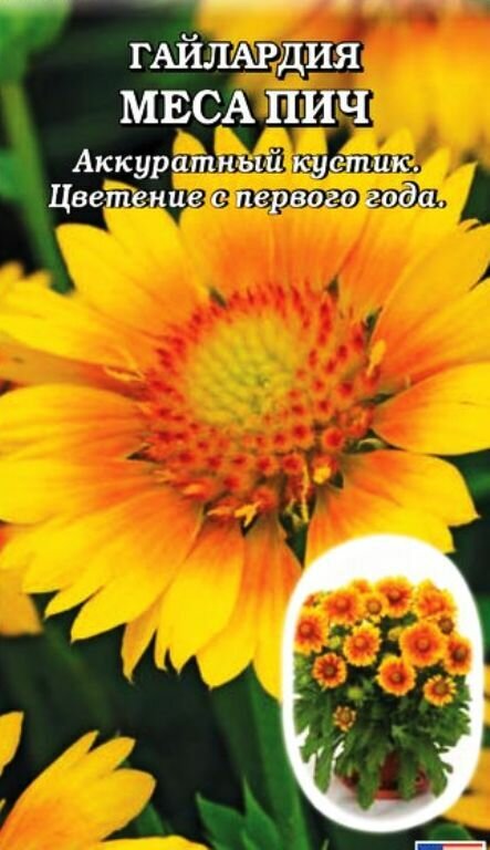 Гайлардия Меса Пич