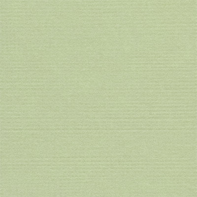 Бумага для скрапбукинга "Mr.Painter" PST 216 г/кв. м 30.5 x 30.5 см 44 Фисташковое мороженое (бл. зеленый)