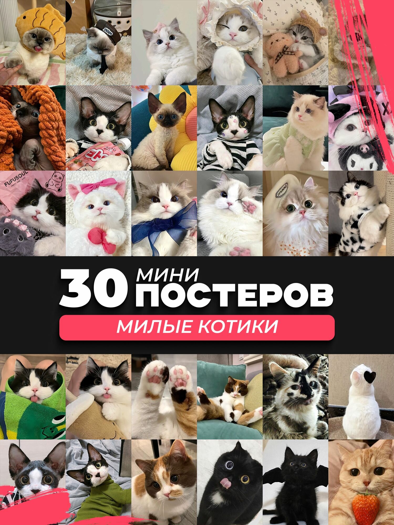 Набор мини постеров котики