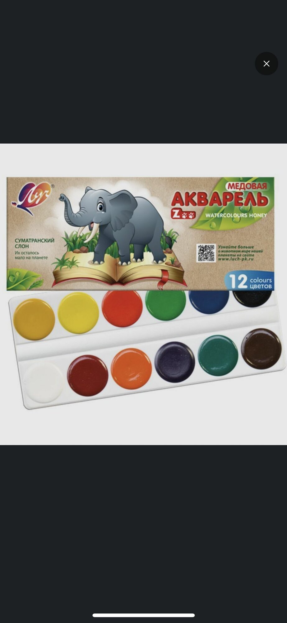 Акварель "ZOO" Суматранский Слоненок, 12 цветов, без кисти