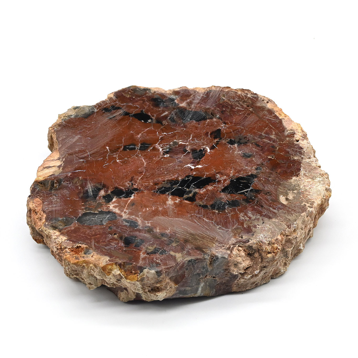 Срез окаменелого дерева 113*91*23мм, 466г .