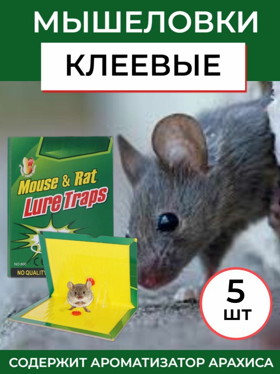 Мышеловки для мышей 5 штук, Клеевая ловушка клеевая мышеловка набор клейких ловушек липкая ловушка от мышей