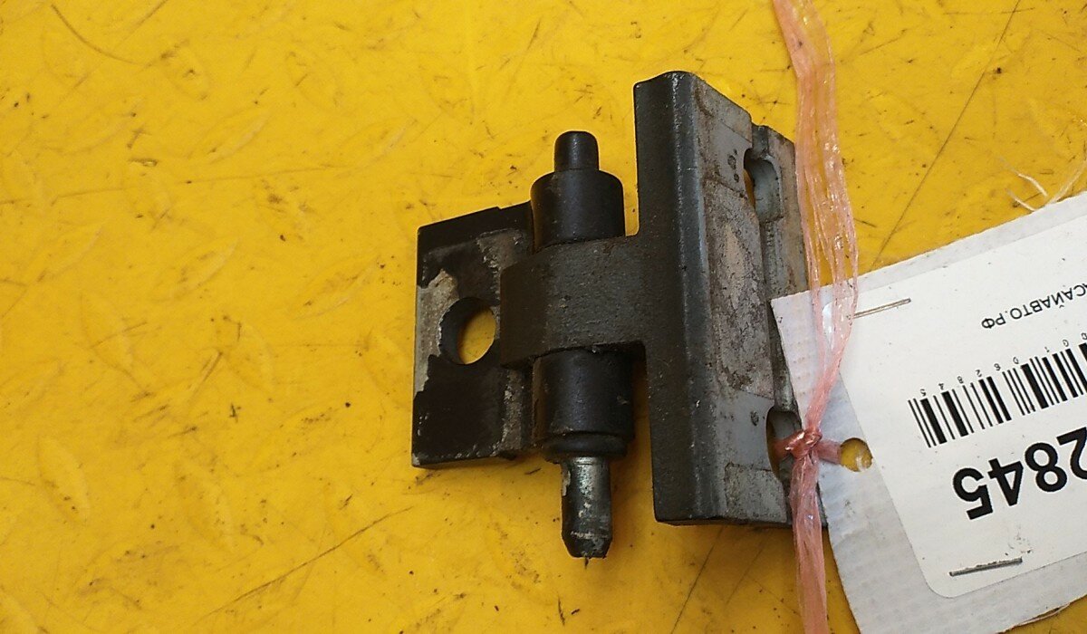 Петля двери задней левой нижняя XC90 Volvo 30784903