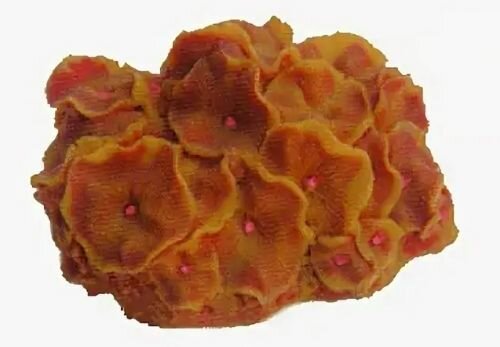 Коралл пластиковый (мягкий) желто-красный 14х12х7см (SH011RY)