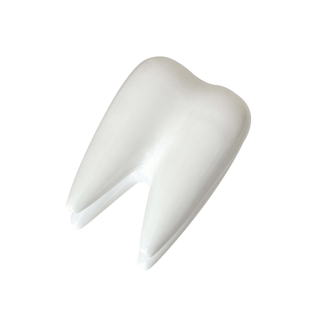 Керамический Держатель Ручки В Форме Зуба Забавный Настольный Органайзер для Детей И Взрослых Милый Держатель Карандаша Держатель Канцелярских Принадлежностей Уникальный Контейнер