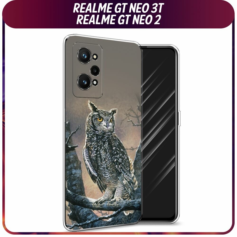 Чехол на Realme GT Neo 3T/Neo 2 / Реалми GT Neo 3T/Neo 2 с принтом "Сова арт 5"