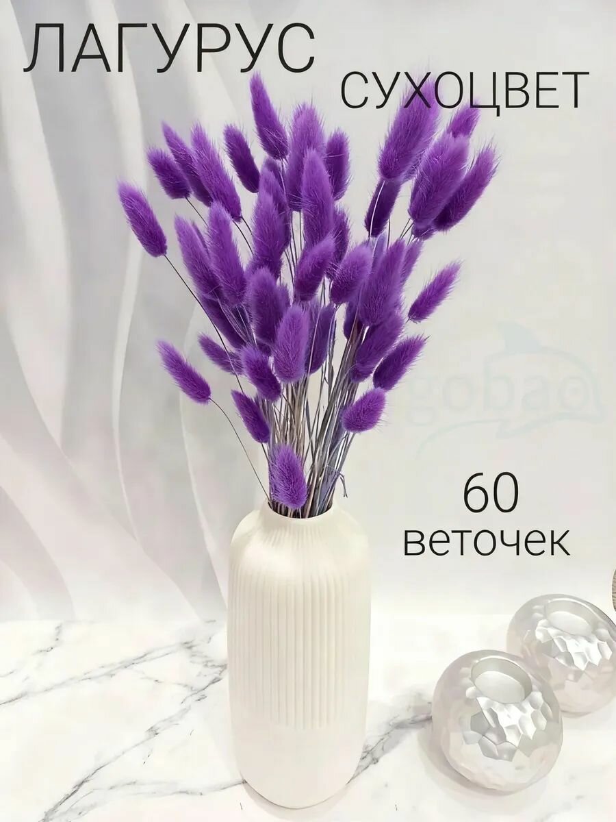 Сухоцветы Лагурус, 55 см, 100 гр, 60 шт