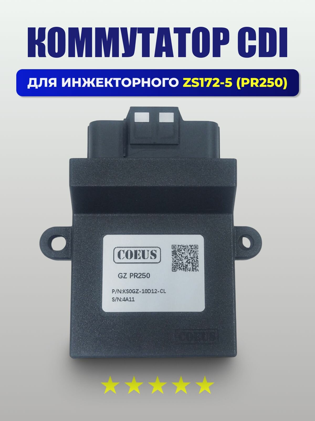 Электронный блок управления мотоцикла (ЭБУ) COEUS EFI ZS172 PR250