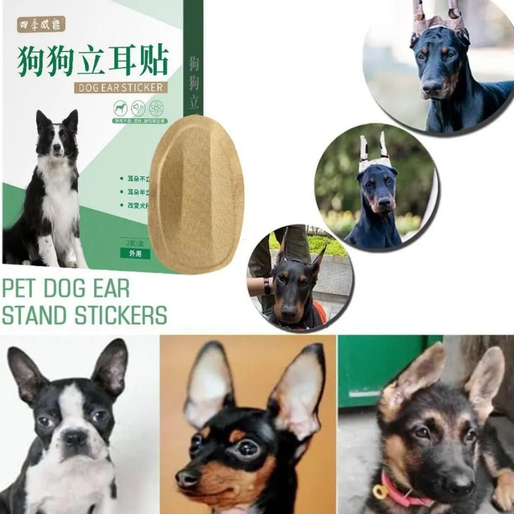 Вспомогательный пластырь для коррекции ушей собакам