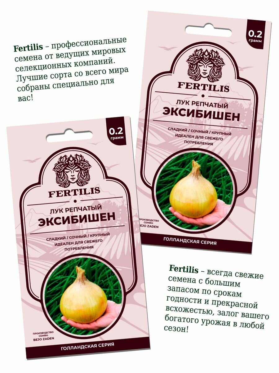 Семена репчатого лука Эксибишен от компании Fertilis (2 пачки) — фото 1