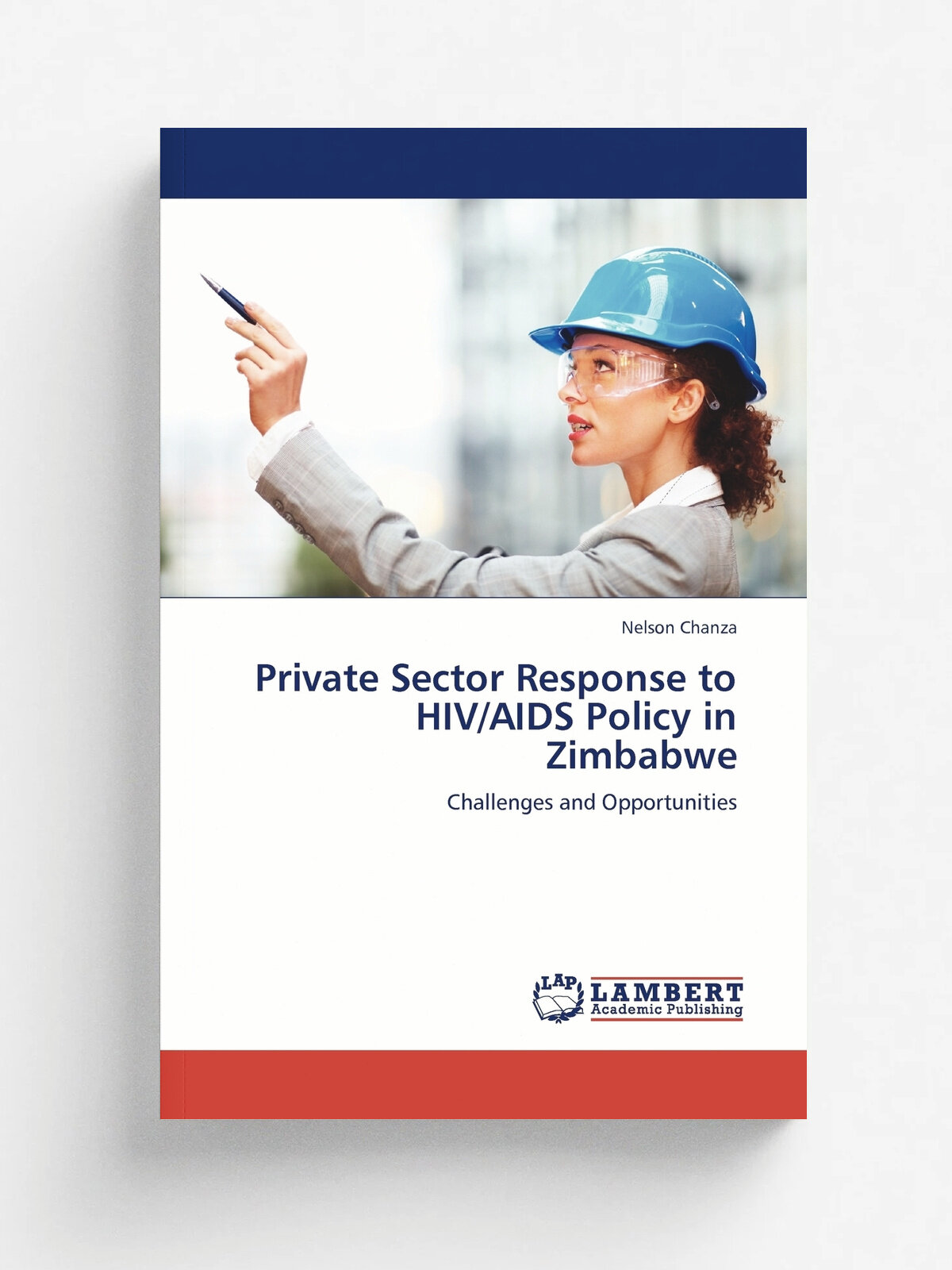 Private Sector Response to HIV/AIDS Policy in Zimbabwe