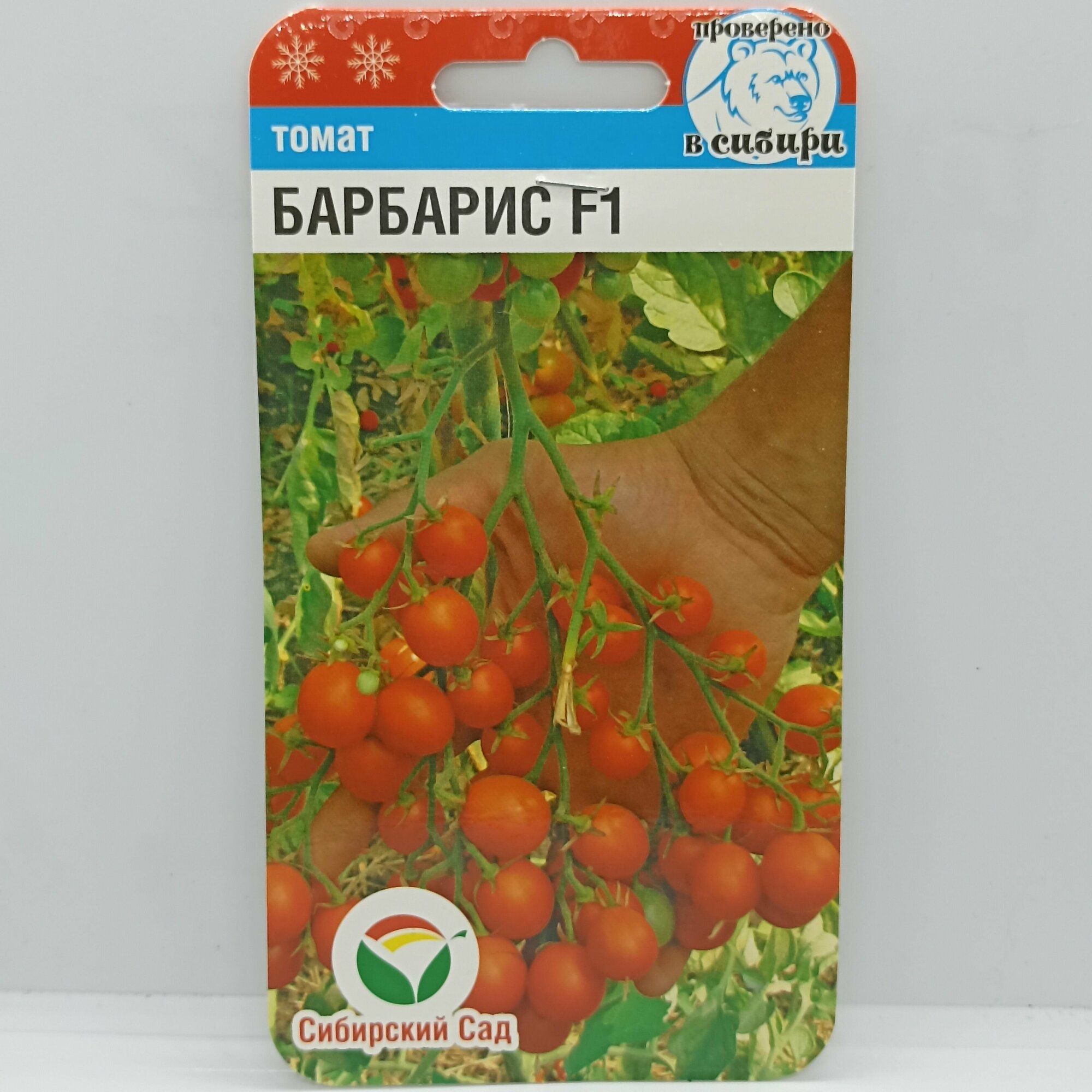 Томат Барбарис F1 (Сибирский сад), необычный вишневидный (черри) раннеспелый гибрид с очень сладкими плотными мясистыми томатиками, 15 семян