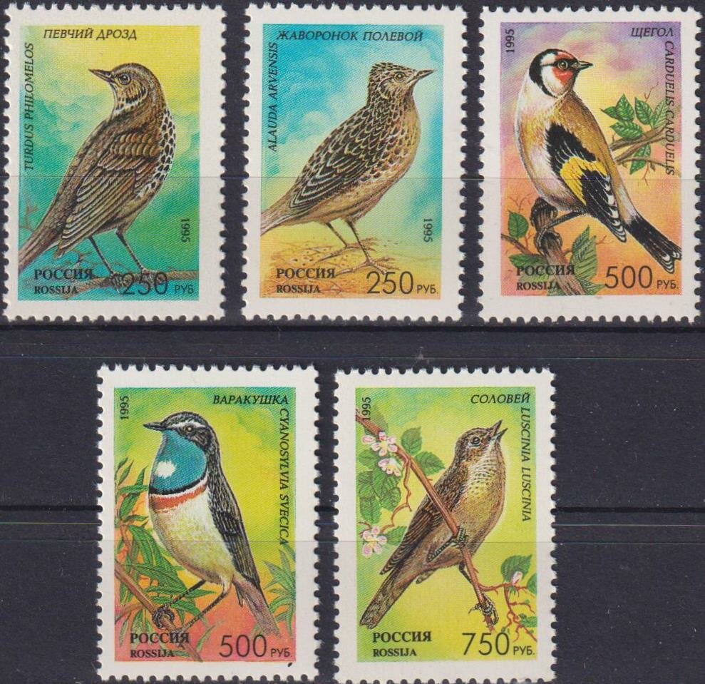 Почтовые марки Россия 1995г. "Певчие птицы России" Птицы MNH