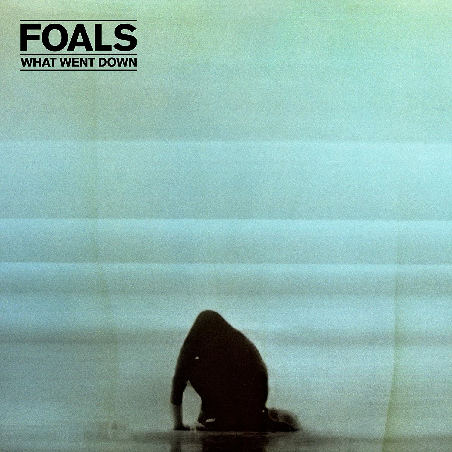 Виниловая пластинка Foals. What Went Down (LP)