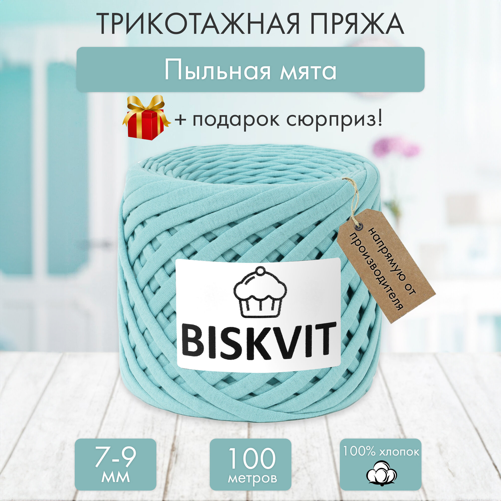Трикотажная пряжа для вязания Пыльная мята