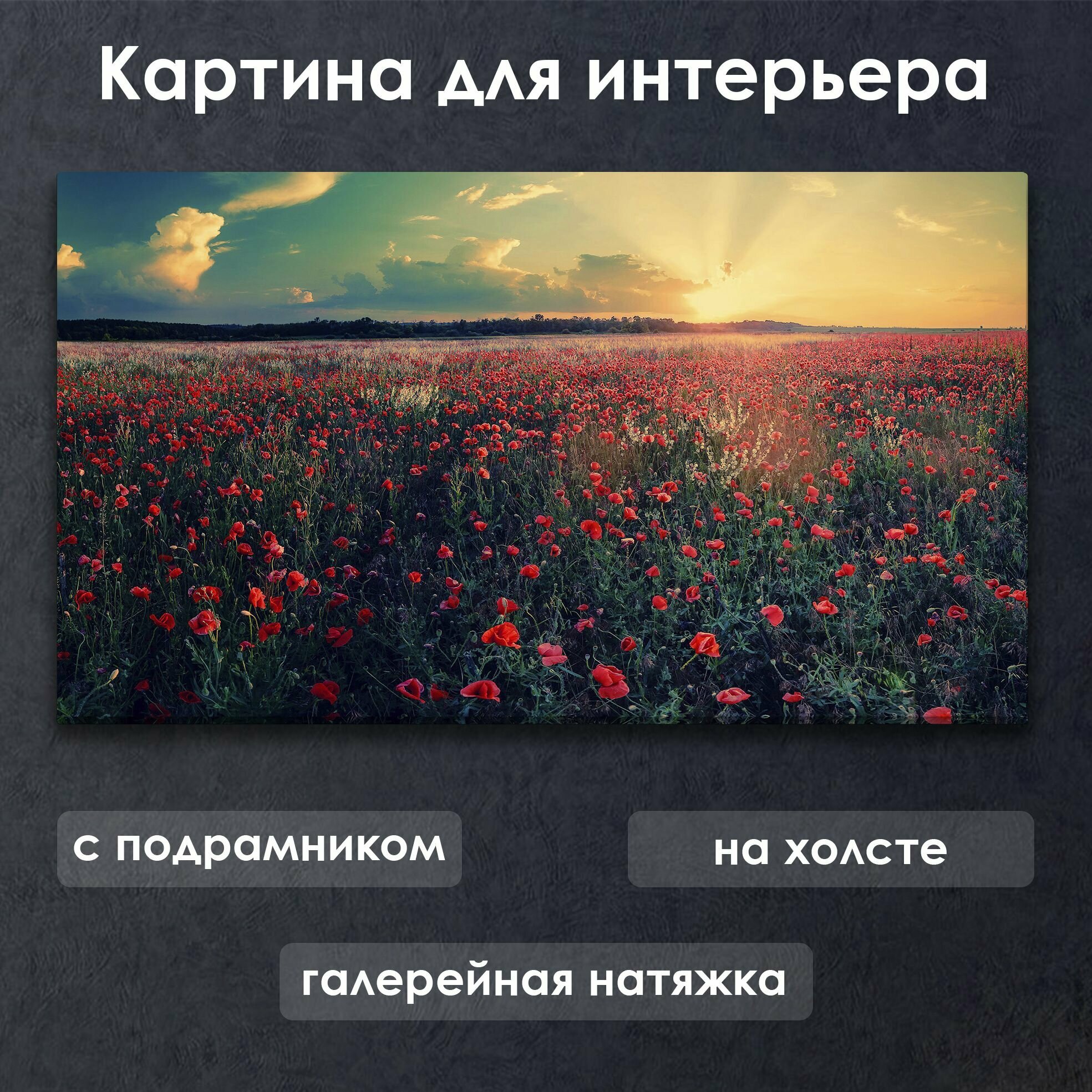 Картина для интерьера с подрамником на холсте на стену Пейзаж Маковое поле 55 x 30 см