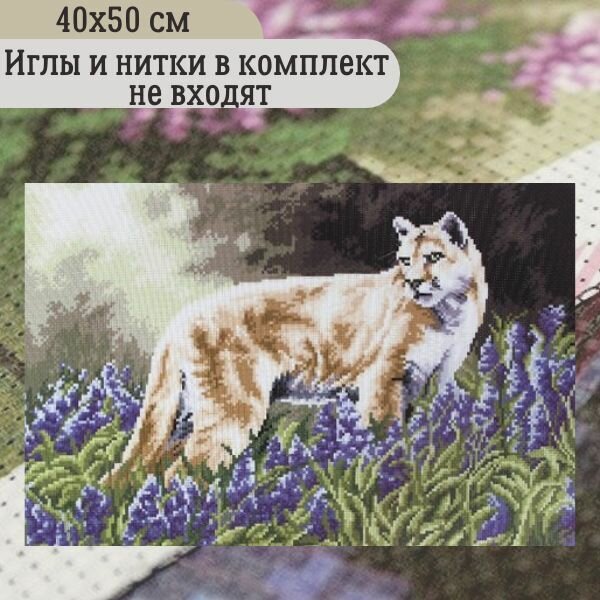 Канва с нанесённым рисунком для вышивания нитками мулине 0385 (без ниток) 40*50