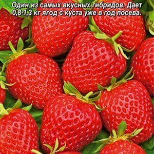 Семена Земляника F1 крупноплодная Медовый вкус7 шт.