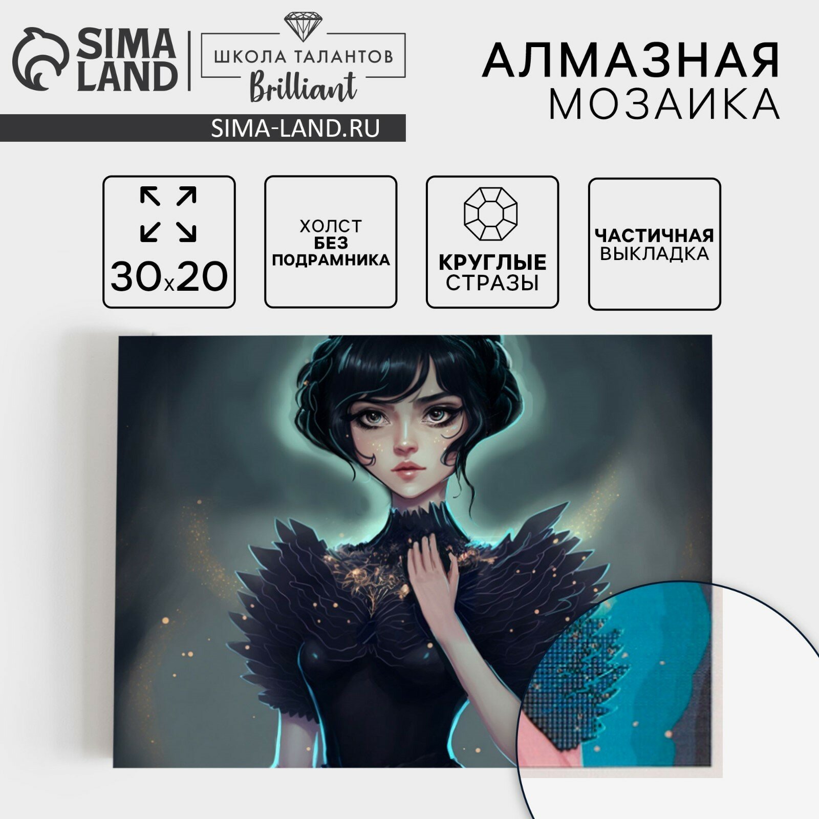 Алмазная мозаика с частичным заполнением на холсте «Девушка в черном» 20×30 см
