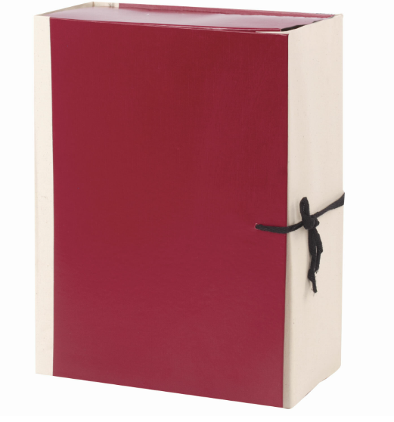 Папка для бумаг архивная А4 (225х310 мм), 120 мм, 4 завязки, бумвинил, корешок - коленкор, 123201