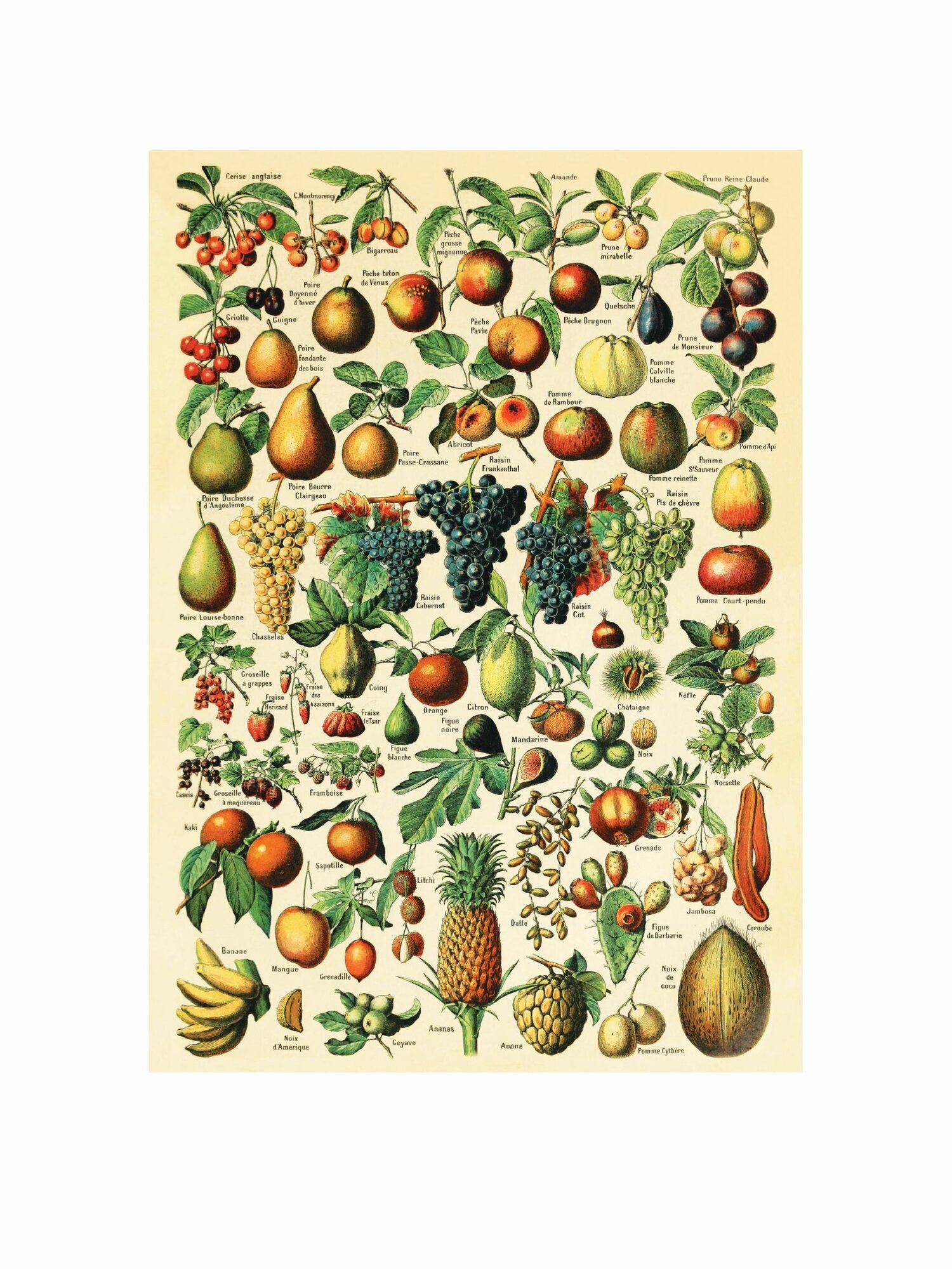 Постер с паспарту, 30х40 см (без рамки)