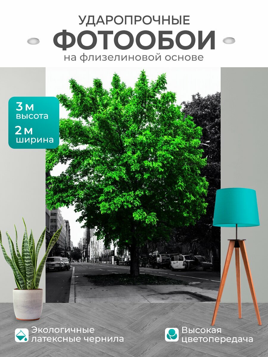 Фотообои моющиеся ударопрочные "Зеленые в стиле черно-белый, представляющие собой городской пейзаж с зелеными деревьями и старинными зданиями в черно-белом тоне" 200x300 см. флизелиновые на стену