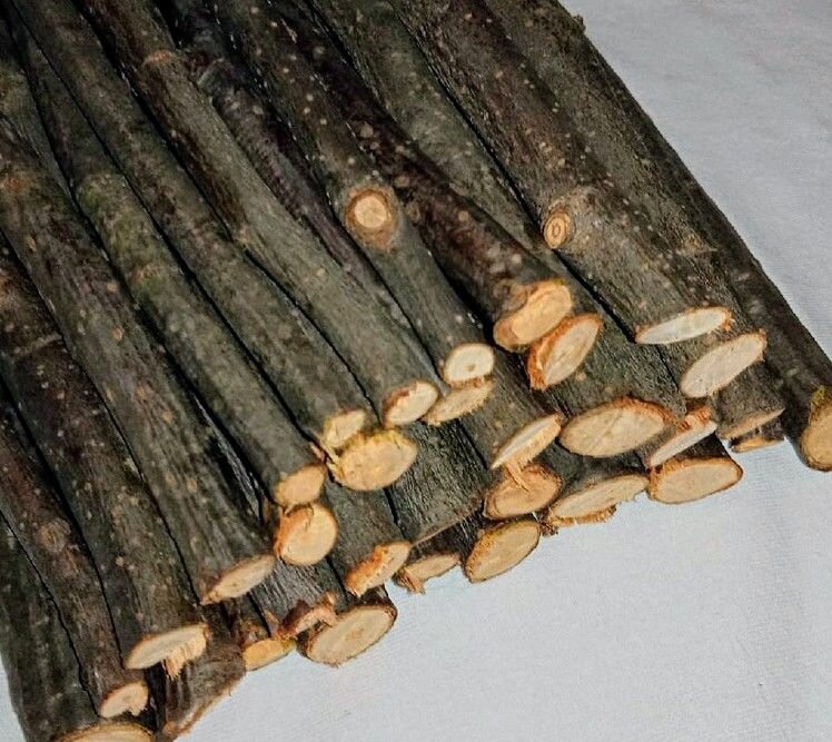 Набор веточек для грызунов: яблоня, малина, вишня, слива, ежевика.