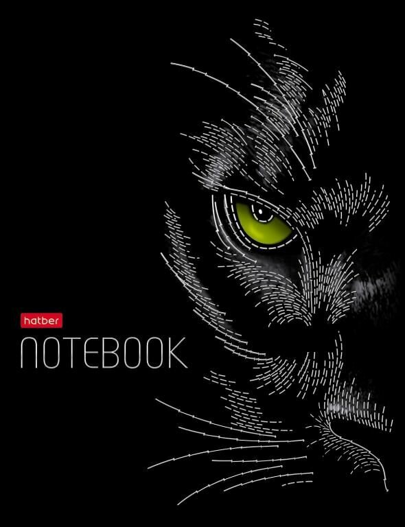 Бизнес-блокнот А5 80 л. клетка21 "Black Cat"