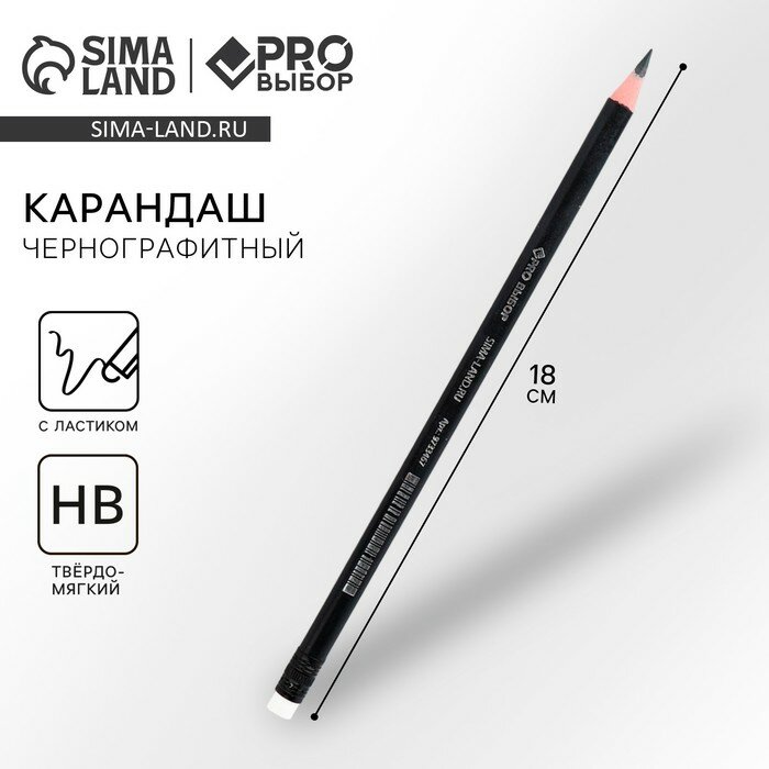 Карандаш простой чернографитный НВ с ластиком PROвыбор Черный неон, 144 шт.
