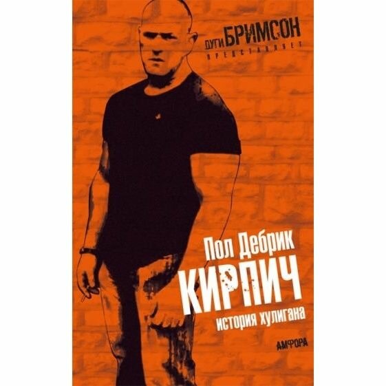 Книга Амфора Кирпич. 2010 год, Дебрик П.