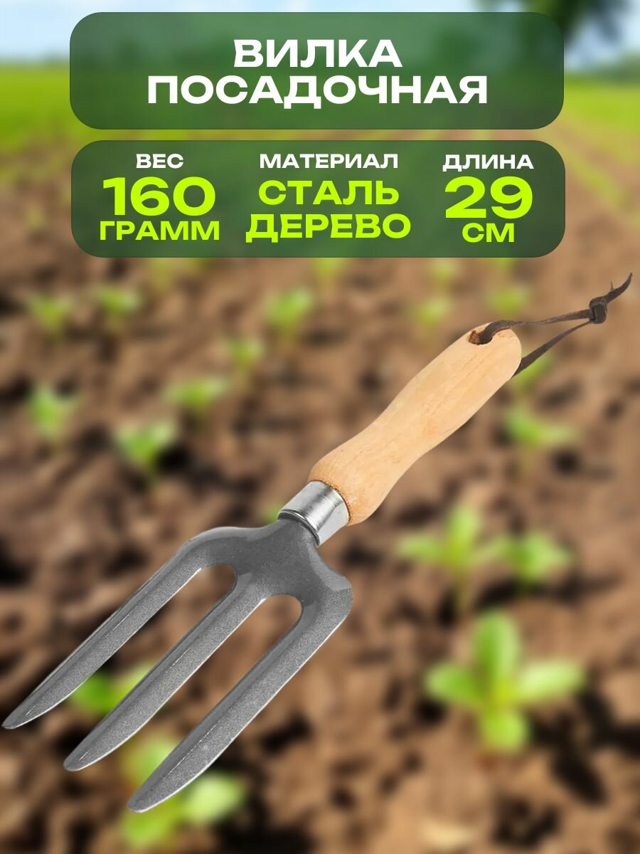 Вилка посадочная, 29 см, деревянный черенок: предназначена для проведения земляных работ на дачном участке или дома