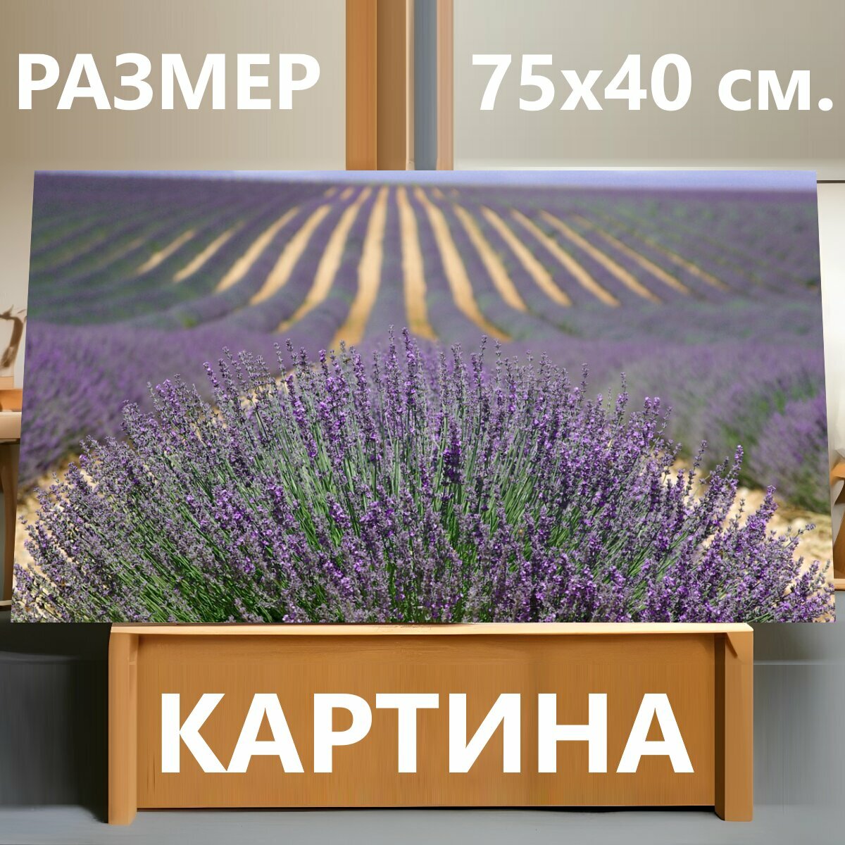 Картина на холсте "Прованс, валенсол, лаванда" на подрамнике 75х40 см. для интерьера