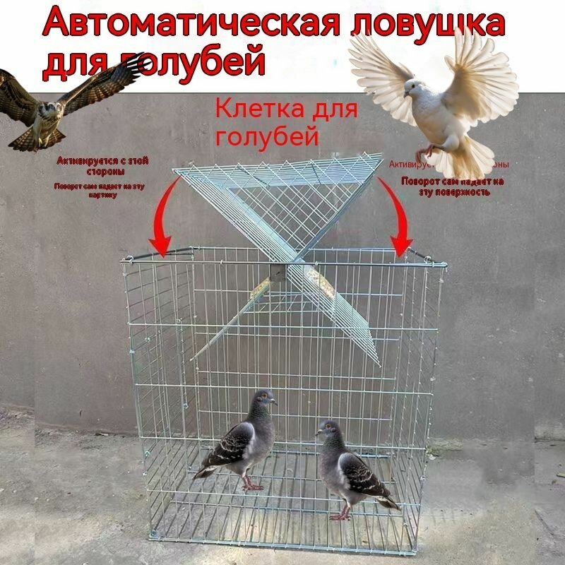 Автоматическая клетка для ловли крупных птиц Размеры: 50 см * 48 см * 34 см
