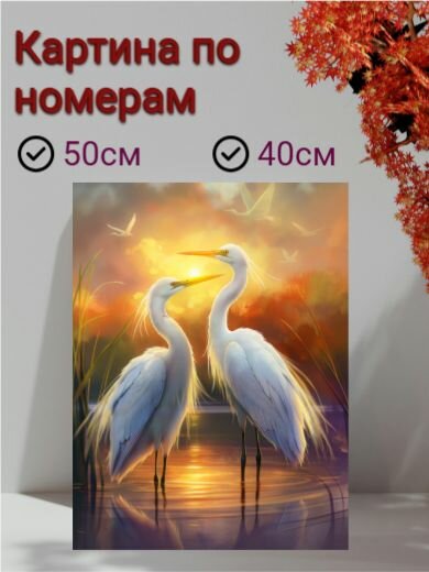 Картина по номерам: создайте шедевр своими руками! Kolibriki (размер 40х50 см)