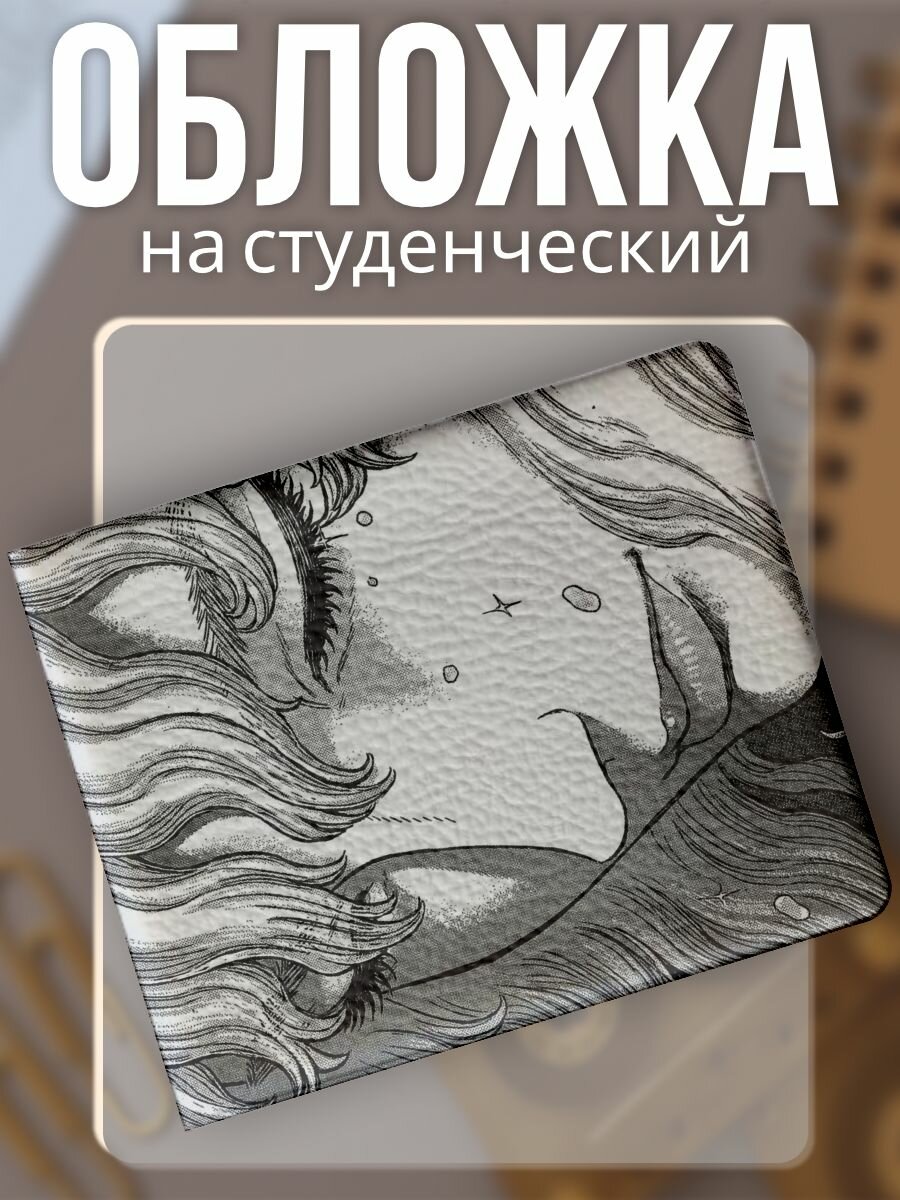 Обложка для студенческого билета