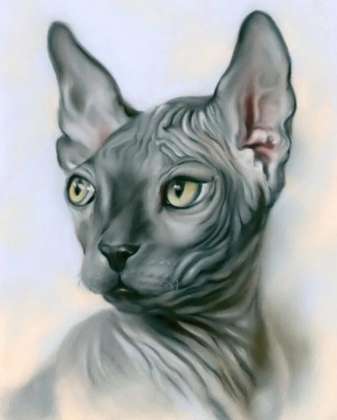 Алмазная Мозаика "Сфинкс В Цветах" 40*50 См, Безрамная, Идеальна Для Дома, Украшения, Подарков.